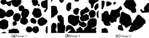 Binary Segmentation The Images Fig For A Given Depth The Black Download Scientific