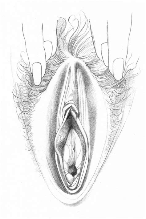 Female Anatomy 62 Photos Porn