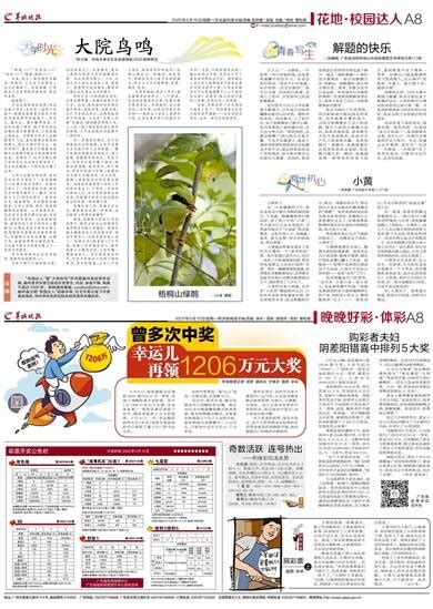 羊城晚报 征稿