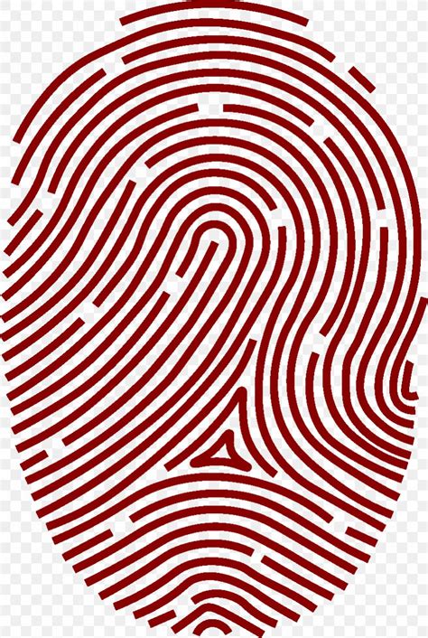 Fingerprint Clip Art Vector Graphics Biometrics Transparency Png 821x1225px Fingerprint Area