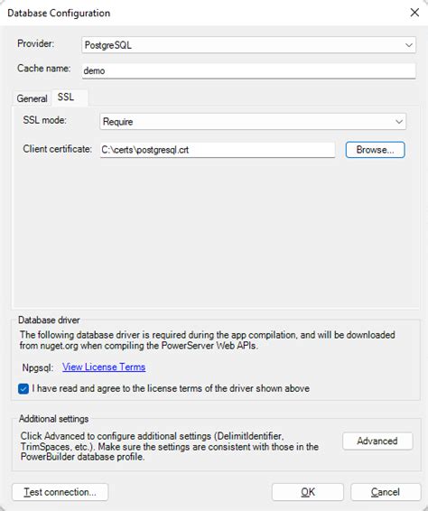 Postgresql Ssl Connection Pb Docs 2022 Powerbuilder Library