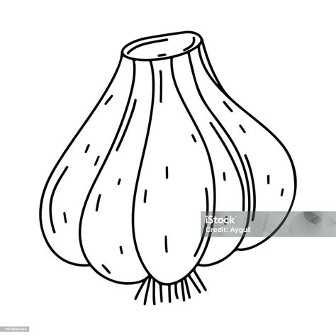 손으로 그린 낙서 스타일의 마늘 벡터 그림입니다 농장 시장 제품 아이들을위한 색칠 공부 페이지 0명에 대한 스톡 벡터 아트 및