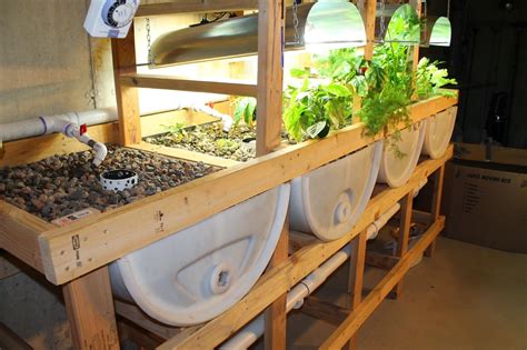 Aquaponics Media Bed Design Wall Bed Sed Montonca