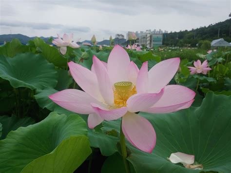 교학 잘하는 자가 수행도 잘한다