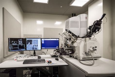 Fei Quanta 3d Feg Figsem Lsu Shared Instrumentation Facility