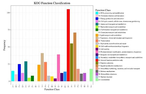 kog function classifications of the differentially expressed unigenes