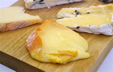Пороки сыра: какие бывают, как предотвратить появление