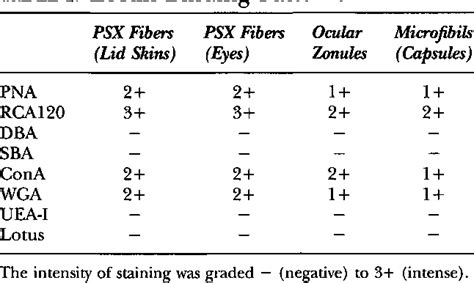 Table 2 From Lectin Electron Microscopic Histochemistry Of The