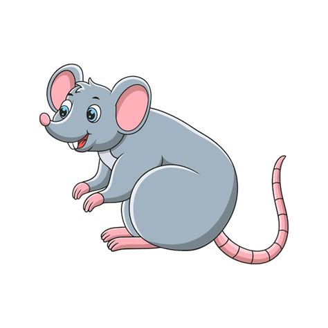 Ilustración de dibujos animados rata está de pie sobre un trozo de