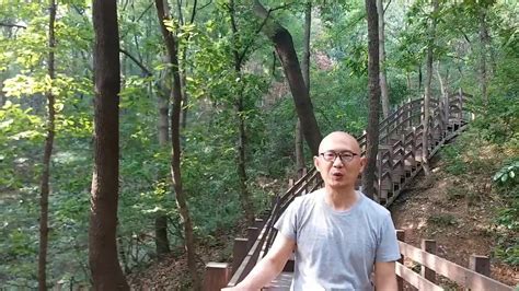 天下之至柔，驰骋天下之至坚 《道德经》第四十三章读诵 Youtube