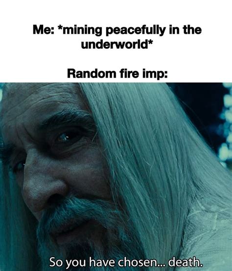 Only Terraria Players Will Understand Terraria Memes Terrarium Memes