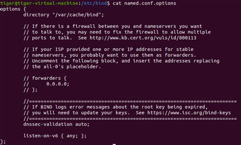 Ubuntu2004使用bind9配置dns服务器 菠萝超级酸 博客园