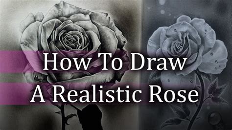 How To Draw A Realistic Rose Youtube