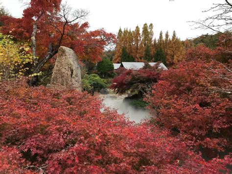 「モリコロパーク」 スタッフブログ 愛知県瀬戸市の耳鼻咽喉科・アレルギー科・気管食道科 こだま耳鼻科クリニック
