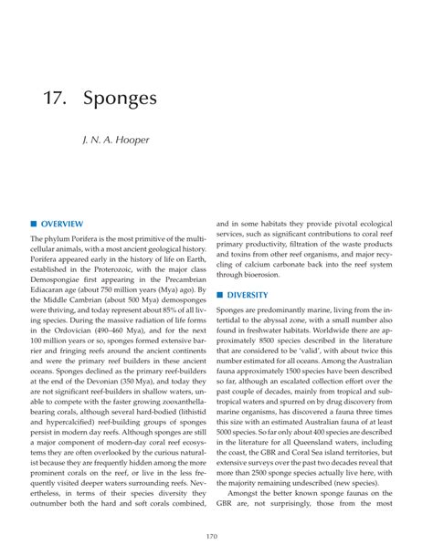PDF Chapter 17 Sponges