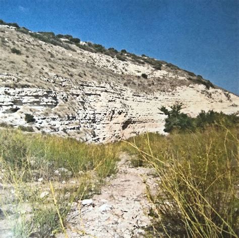 The Valley Of Elah Review