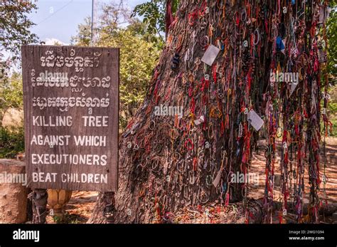 The Killing Tree Wooden Bilingual Sign The Killing Fields Choeung