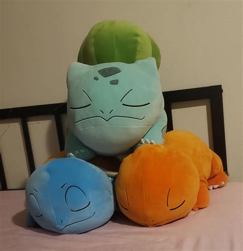 I Love Pokemon Rplushies