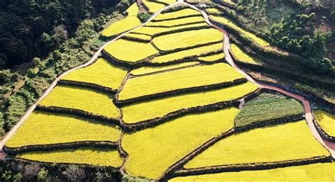 함양 마천면 도마마을 다랭이 논 오마이포토