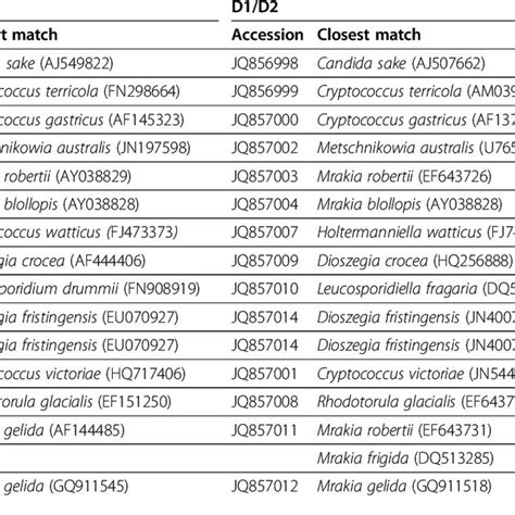 Molecular Identification Of Yeast Isolates Download Table