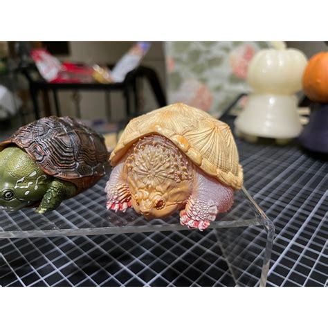 絕版 限量版 動物星球 心寬體胖 第一彈 黃緣 草龜 鱷龜 佛鱷 墨龜 白化 擬鱷 蝦皮購物