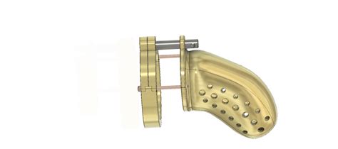 Stl File Male Fix Chastity Composite Device Cock Cage Penis Ring