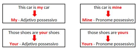 Exemplos De Pronomes Possessivos Em Ingles Novo Exemplo