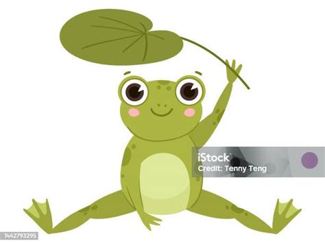 만화 재미있는 개구리 귀여운 개구리가 나뭇잎 아래에 앉아 있다 녹색 양서류 흰색 배경에 앉아 있는 물 개구리 평면 벡터 그림 개골개골에 대한 스톡 벡터 아트 및 기타 이미지
