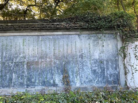 2023冬天就在雪地上捕鸟对于百草园鲁迅曾在从百草园到三味书屋这篇著名的散文中作了非常形象生动的描述 百草园 评论 去哪儿攻略