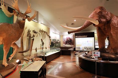 Local Museum Orbicular Rocks Laboratory Muuseo My Lab Publishing