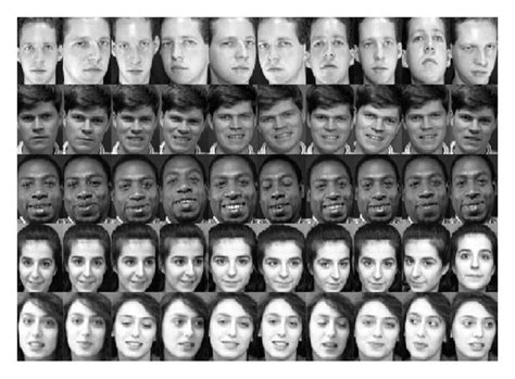 Part Of The Face Images From The Orl Database For Testing Download