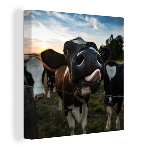 Onemillioncanvasses® Leinwandbild Kuh Tiere Natur Ausgezeichnete
