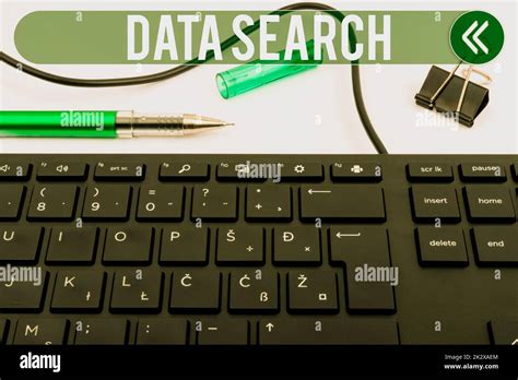 Conceptual Display Data Search Business Concept Gathers And Reports