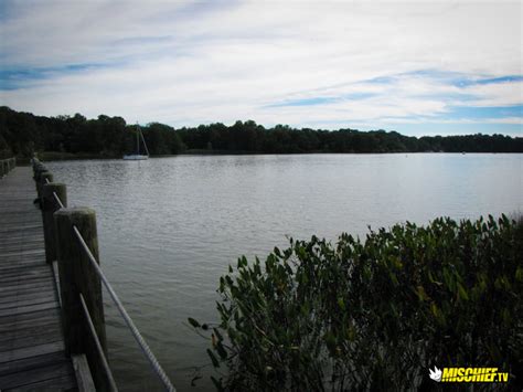 Elevation Of 1 Massey Md Usa Topographic Map Altitude Map