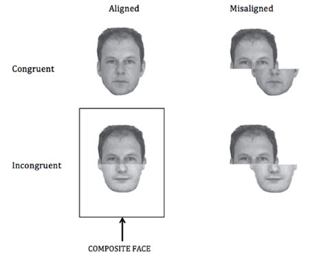 Examples Of The Four Stimulus Types Adapted From Weston And Perfect 30