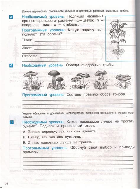 Рабочая тетрадь по окружающему миру 3 класс. Проверочные и контрольные ...