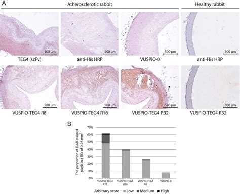 Pdf Multimodal Molecular Imaging Of Atherosclerosis Nanoparticles