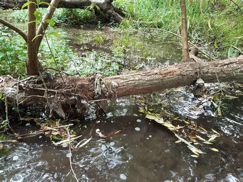 Wet Wipes Consultation Thames Rivers Trust