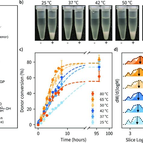 Eect Of Reaction Temperature On Hexagonal β 13 Glucan Microparticle Download Scientific