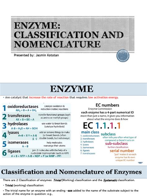 Enzyme Classification And Nomenclature Jasmin Pdf Enzyme Macromolecules