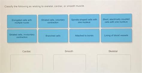Solved Classify The Following As Relating To Skeletal Chegg