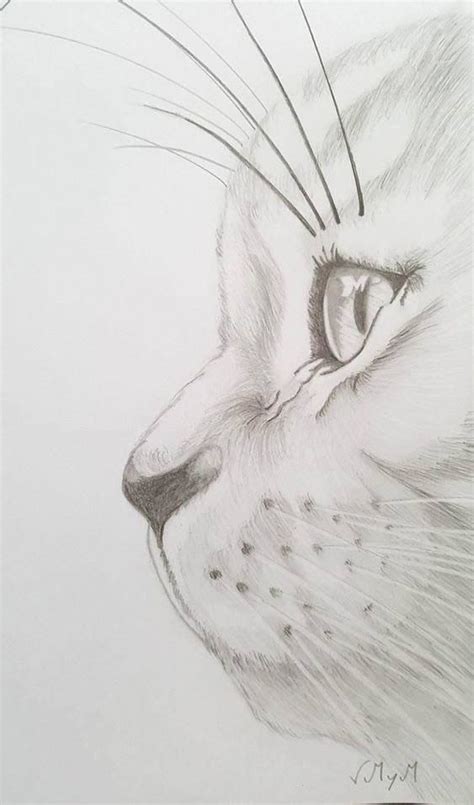 Beautiful Pictures For Drawing With Pencil She Begins By Showing