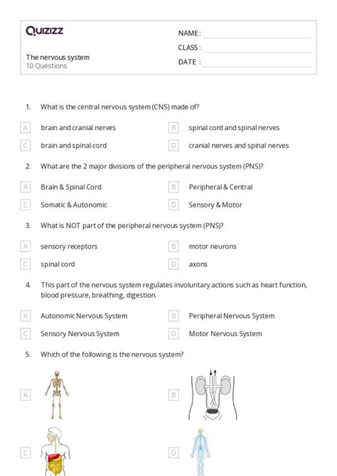50 The Digestive And Excretory Systems Worksheets On Quizizz Free