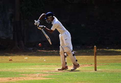 BX Zone 8 Cricket Books Which A Cricket Lover Spectator Must