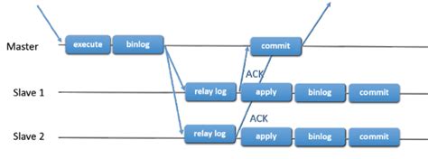 Mysql高可用 Mgr入门（1）单主多主模式搭建 Csdn博客