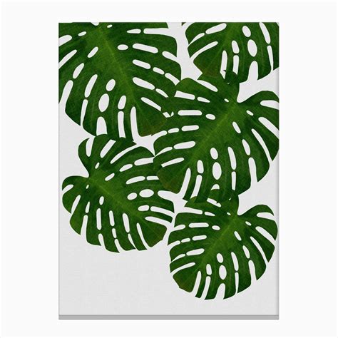 Monstera Leaf I Canvas Print By Orara Studio Fy