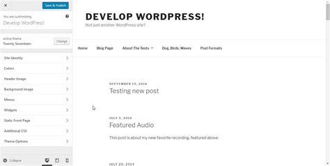 Custom Css With Live Preview Coming To Customizer Rwordpress