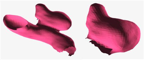 Example Result Of Semi Automatic Mesh Cutting Right Mesh Showing Only