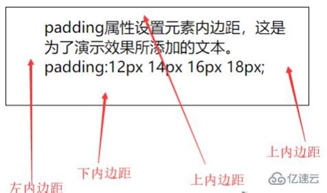 Css Padding Web