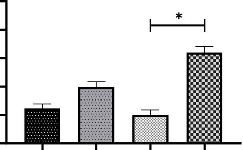 The Effect Of Gsh Supplementation On Bcl2 Gene Expression In